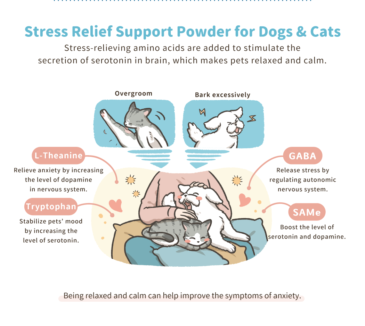 Stress Relief Support Powder for Dogs & Cats - 汪喵星球 (SG)